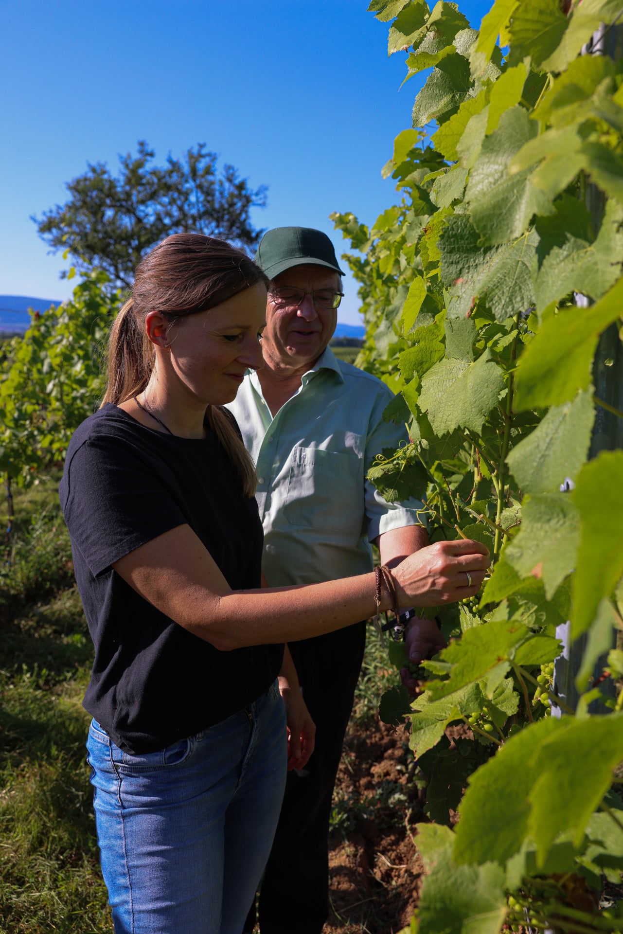 Weingut Becker – Erlesene Weine aus der Pfalz | Online kaufen
